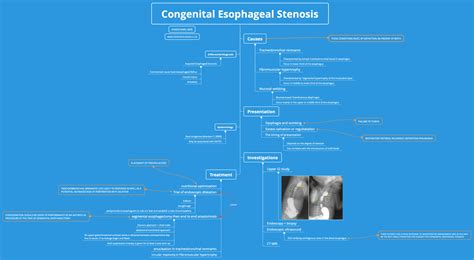 Congenital Esophageal Stenosis Pediatric Surgery Club