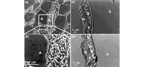 Sigma Phase Formation In The Duplex Region Of The Adn Steel A And B