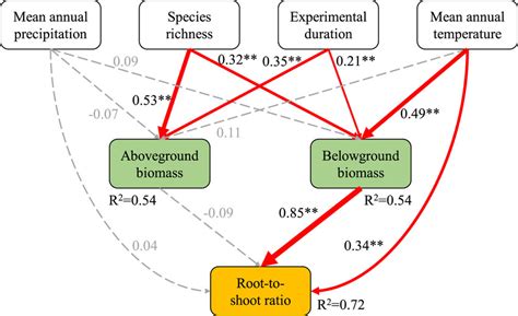 Path Analytic Representations Of Structural Equation Models Relating