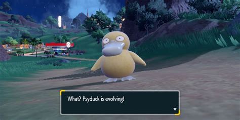 Psyduck Evolution Pokemon Fire Red And Leaf Green How To Evolve