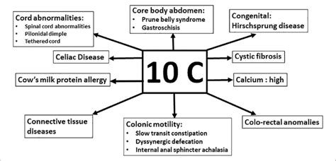 Etiology Of Chronic Refractory Constipation Download Scientific Diagram