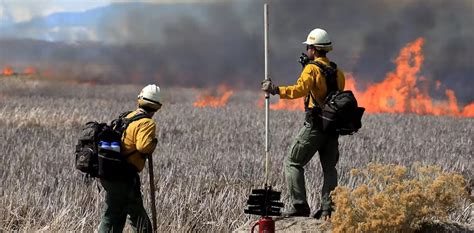 Forest Service Warns Of Budget Cuts Ahead Of A Risky Wildfire Season