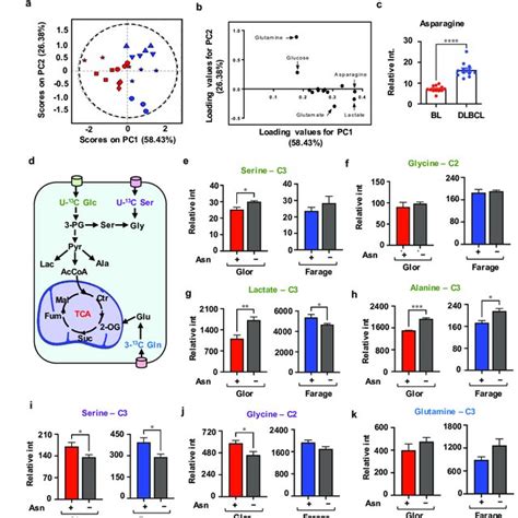 Regulation Of Intracellular Metabolism By Exogenous Asparagine A