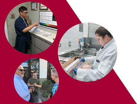 Home Chapman University Transition Ca