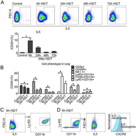 Il33 Mediated Ilc2 Activation And Neutrophil Il5 Production In The Lung