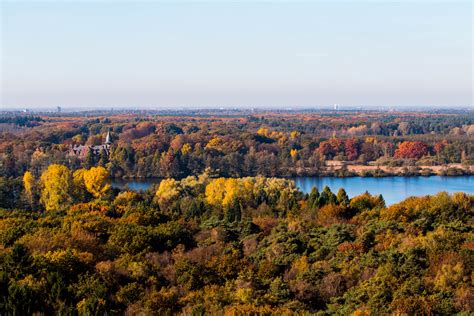 图片素材 景观 树 性质 森林 地平线 山 厂 早上 叶 爬坡道 河 黄昏 秋季 季节 生态系统 空中摄影