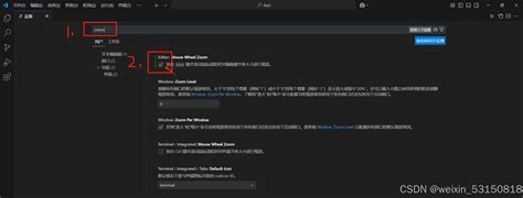 vscode字体大小调整——ctrl 鼠标滚轮 vscode怎么设置ctrl加滚轮放大字体 csdn博客