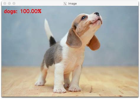 Keras Tutorial How To Get Started With Keras Deep Learning And Python Pyimagesearch