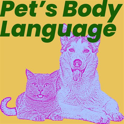 Understanding Your Pets Body Language What Your Pet Is Trying To Tel
