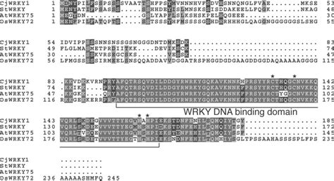 Predicted Amino Acid Sequence Of Cjwrky1 And Sequence Comparison With