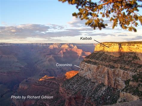 History Of The Earth August 16 Kaibab Formation