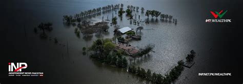 Robust Credit Disbursements Show Agriculture Sectors Resilience