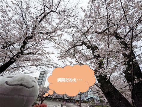 太田記念美術館 Ota Memorial Museum of Art on Twitter 虎子石 のぬいぐるみが各地をぶらぶらする