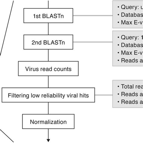 Workflow Of This Study Flow Diagrams Of The Meta Transcriptomic Download Scientific Diagram