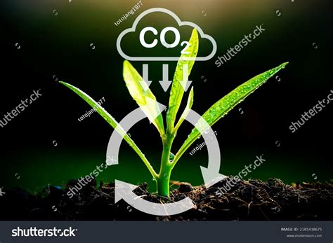 ภาพ ภาพสต็อก วัตถุ 3 มิติและเวกเตอร์เกี่ยวกับ Agriculture Life Cycle