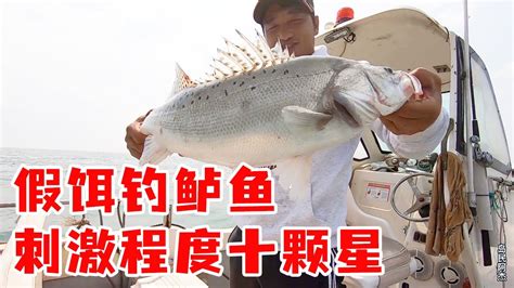 假饵钓鲈鱼刺激程度十颗星，超级巨物频频上钩，又破百斤大关！！！【岛民阿杰】 Youtube