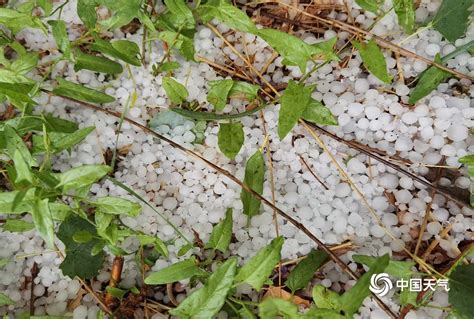 甘肃敦煌出现冰雹天气 最大直径13厘米 图片频道