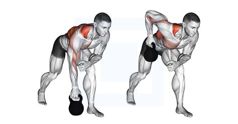 Cable Single Arm High Row Guide Benefits And Form