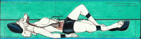 Rule 34 Alekthebeasty Ambiguous Gender Ambiguous Prey Anthro Anthro