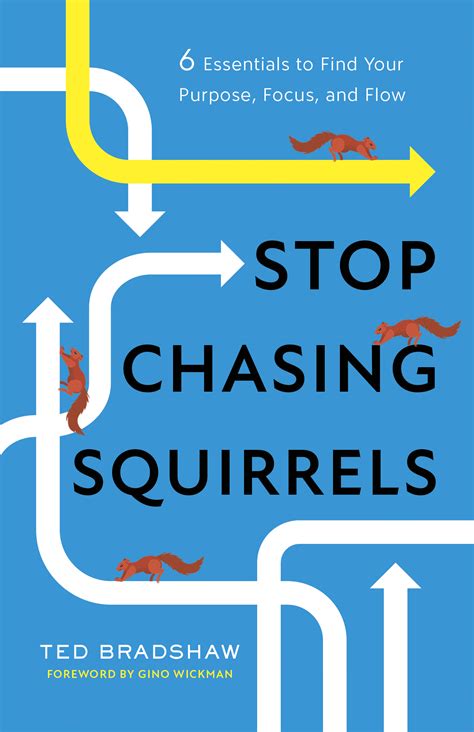 Stop Chasing Squirrels 6 Essentials To Find Your Purpose Focus And