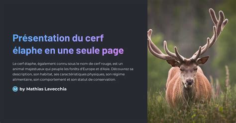 Présentation du cerf élaphe en une seule page