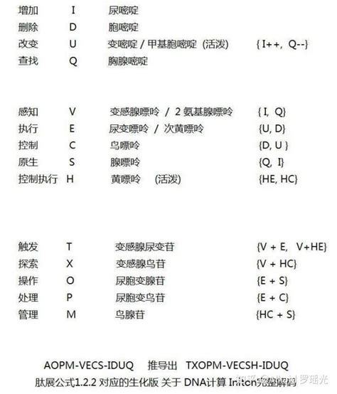 Ppt第九章dna催化与肽展计算和aopm Txh Vecs Iduq元基解码 知乎