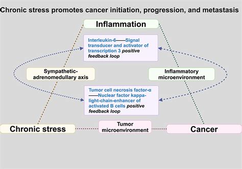 Full Article Chronic Stress Mediates Inflammatory Cytokines