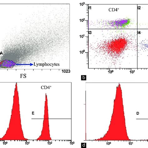 Representative Flow Cytometry Analysis Of Cd4 And Cd8 Lymphocytes Download Scientific