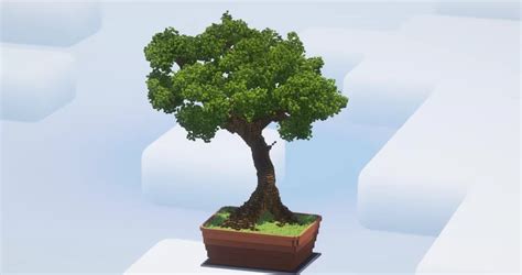 Big Bonsai Tree Minecraft Map