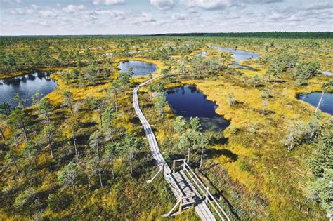 Carbon Offset Projects To Carbon Credits — Mitigation Partners Inc