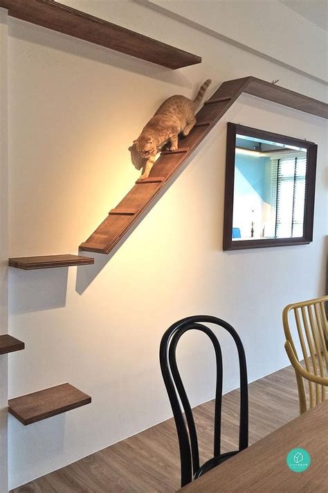 5 Cat Friendly Playgrounds At Home Cat Wall Furniture Cat Climbing