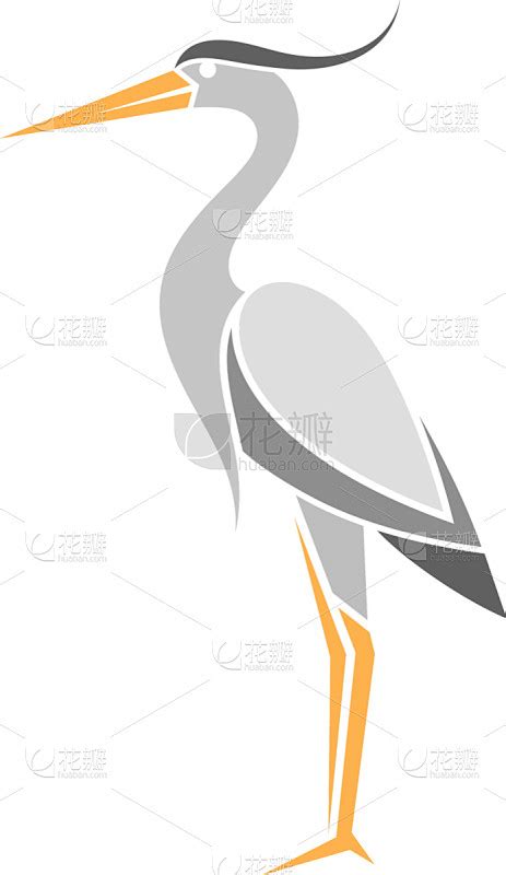 抽象鸟类苍鹭白色背景白色奇异的优美自然图像矢量