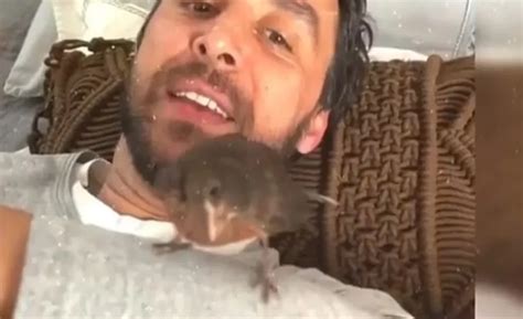 Maquiador De Celebridades Ricardo Tavares é Encontrado Após Atropelamento Maricá Web Tv