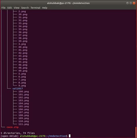 Error During Training Of A Small Dataset Faster Rcnn Training Issue