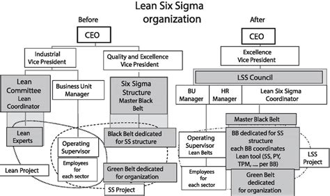 Lean Six Sigma Integration Adapted From [41] Download Scientific