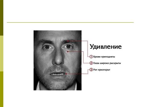Эмоциональные процессы - презентация онлайн