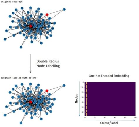 Nodes In The Enclosing Subgraph Are Relabeledcolored Based On Their Download Scientific
