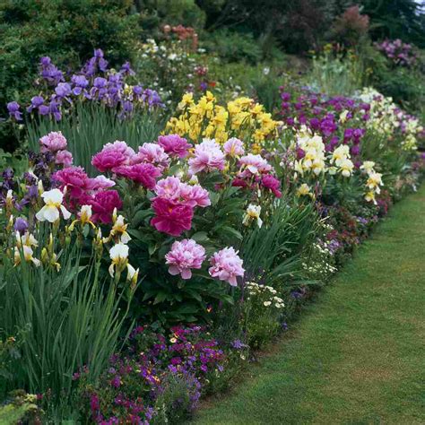 20 Cutting Border Flower Ideas That Will Fill Your Home With Fresh Bouquets