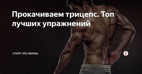 Прокачиваем трицепс Топ лучших упражнений Sport Trainer Качалочка Дзен