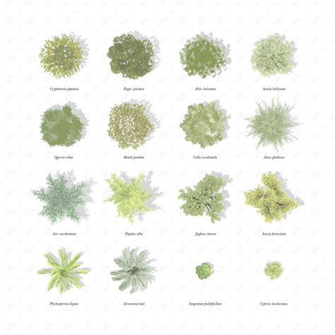 Mega Pack Brushes And Vector Plan Vegetation Shadows
