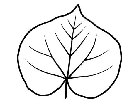 Premium Vector Botanical Leaves Line Art Illustration