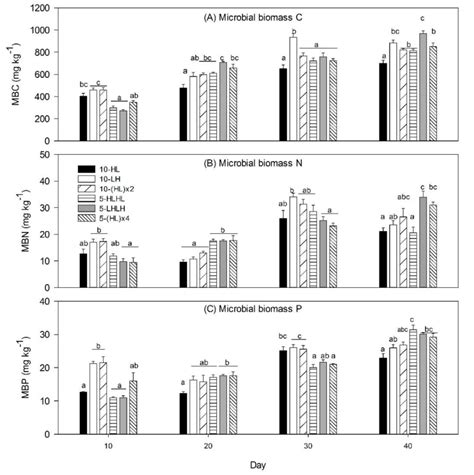 Microbial Biomass C A N B And P C On Days 10 20 30 And 40 In
