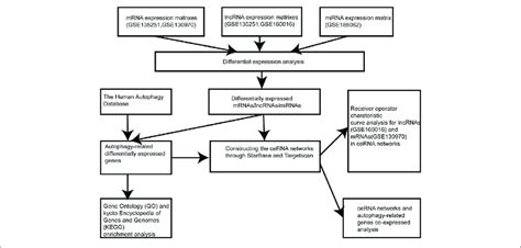 Flowchart Of The Research Design Lncrna Long Noncoding Rna Mirna Download Scientific