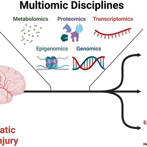 Schematic Representation Of Multiomics Encompassing Metabolomics Download Scientific Diagram