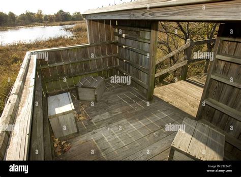 View Inside Wooden Structure Used For Wildlife Observation And As Duck