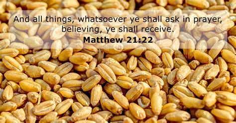 Matthew 2122 Bible Verse Kjv