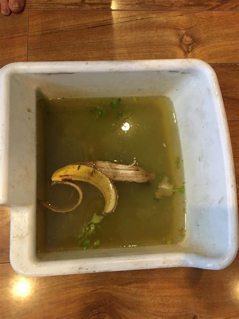 My Dads Foot Bath Herbs Celery Leaves And Banana Peels Hmmmm R