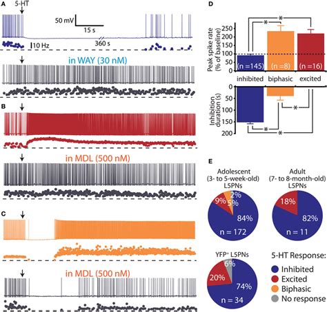 Diversity Of Serotonin Responses In Prefrontal Layer 5 Pyramidal