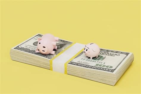 가족 예산의 개념 남자와 여자의 형태로 돼지 저금통을 달러로 묶습니다 3d 렌더링 0명에 대한 스톡 사진 및 기타 이미지 0