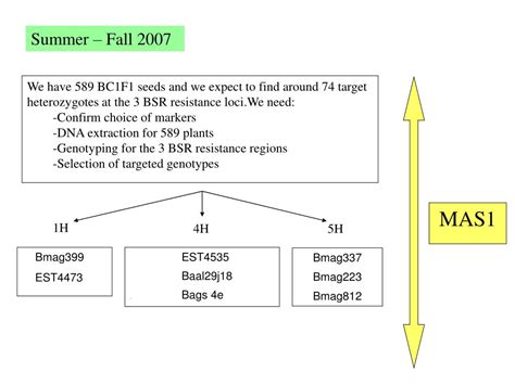 Ppt Marker Assisted Selection Powerpoint Presentation Free Download